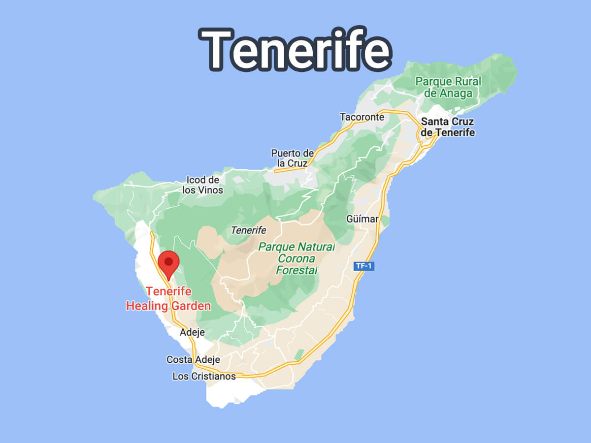 Tenerife Meditation Tour